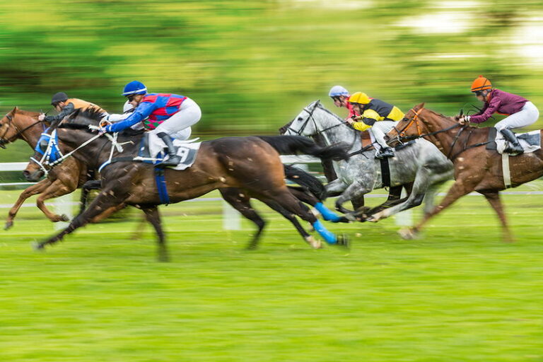 Understanding Horse Race Names & Racing Terminology – Saturday Racing Tips