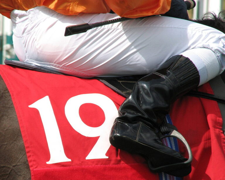 Understanding Horse Race Names & Racing Terminology – Saturday Racing Tips